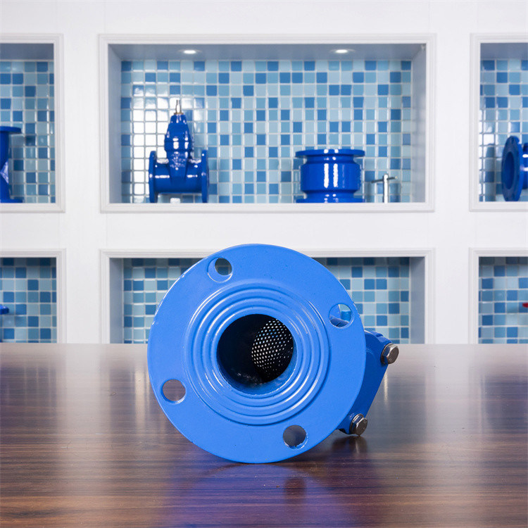 물 필터 예비품을 위한 PN10 4 인치 연성 주철 Y 체 DN200 Ggg50